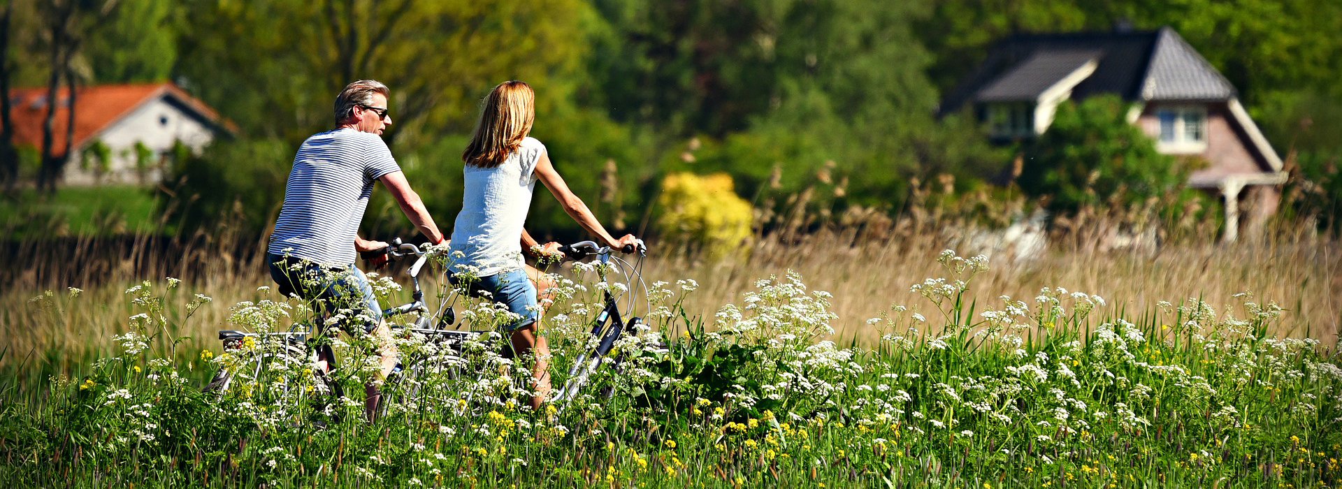 Tourisme et promenades - Servon